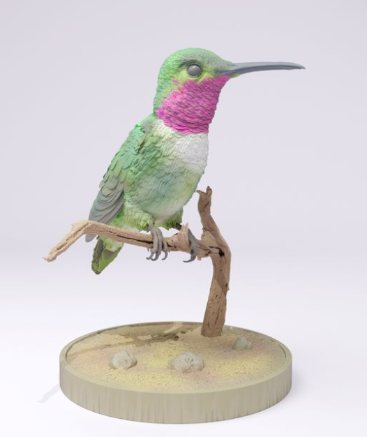 Ein Kolibri sitzt auf einem Ast von Animal den miniatures als 3D Druck ...